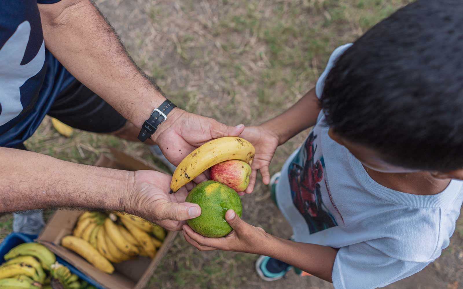 COMMUNITY IMPACT - Nantipa - Santa Teresa Costa Rica, Nicoya Peninsula